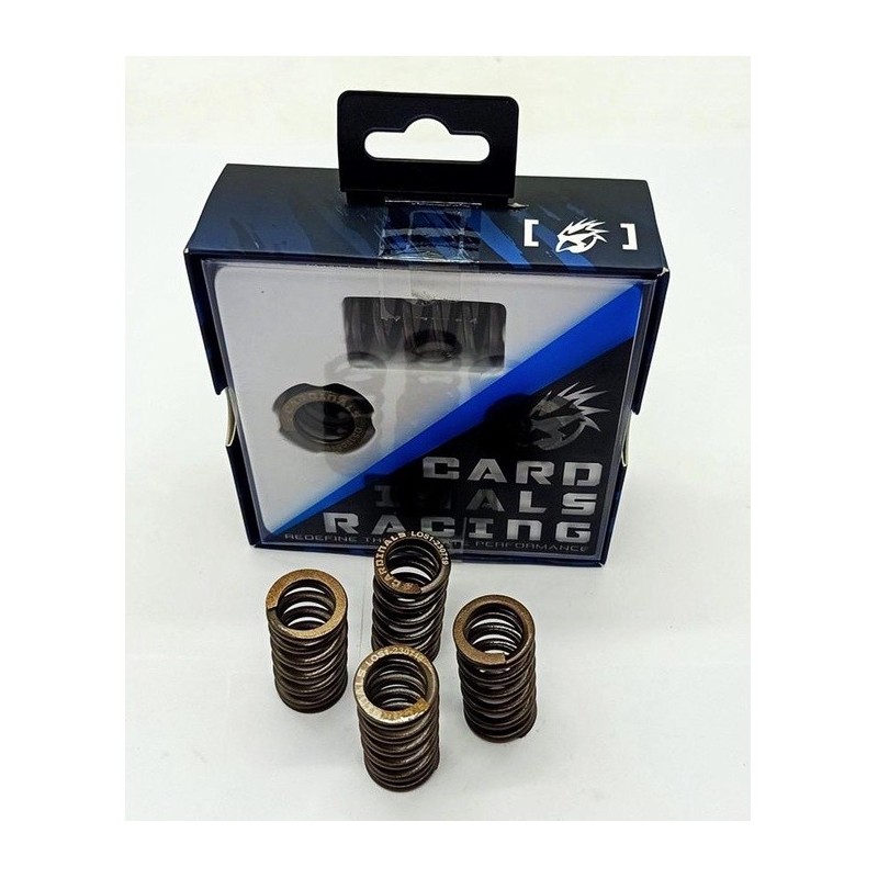 Cardinals Racing Oval Valve Springs (OS1) - Yamaha R15V3/MT-15/NVX/NMAX ...